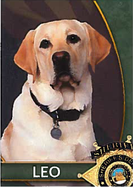 PCSD K9 Program - Affiliate Arizona