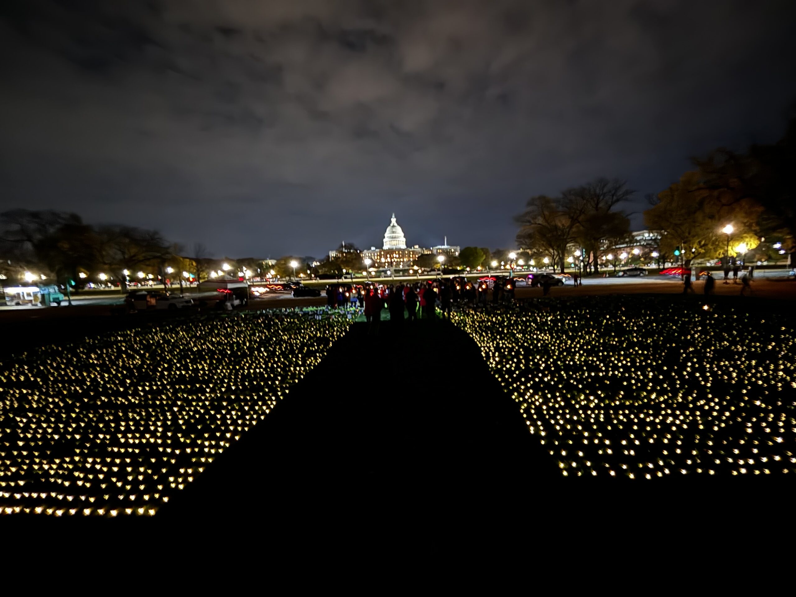 MADD Illuminates the National Mall with 10,000 Lights to Represent the ...